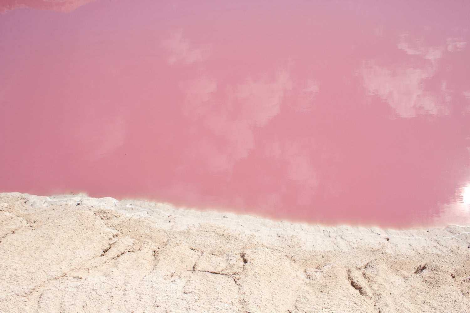 Las Coloradas: The Wonderful Pink Lakes of Mexico