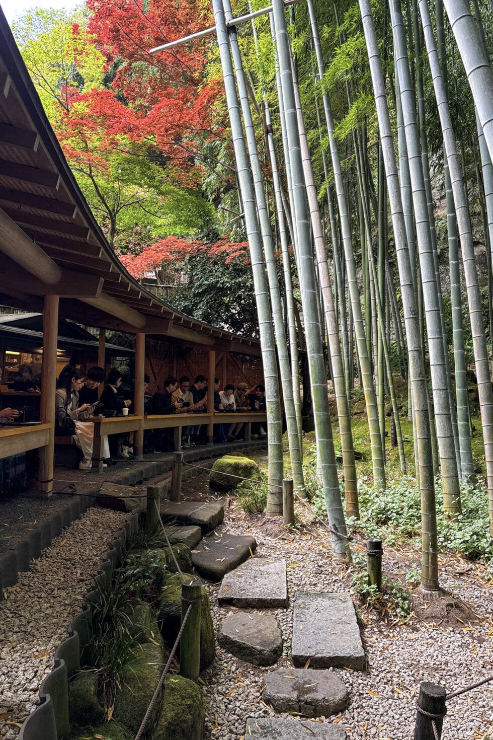 Where To See The Famous Japan Bamboo Forest (and a Few More)