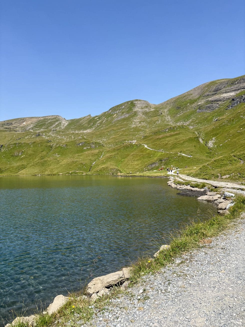 Bachalpsee & Faulhorn Hike from Grindelwald First, Switzerland